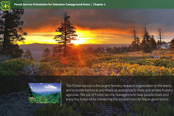 Solers Research Group